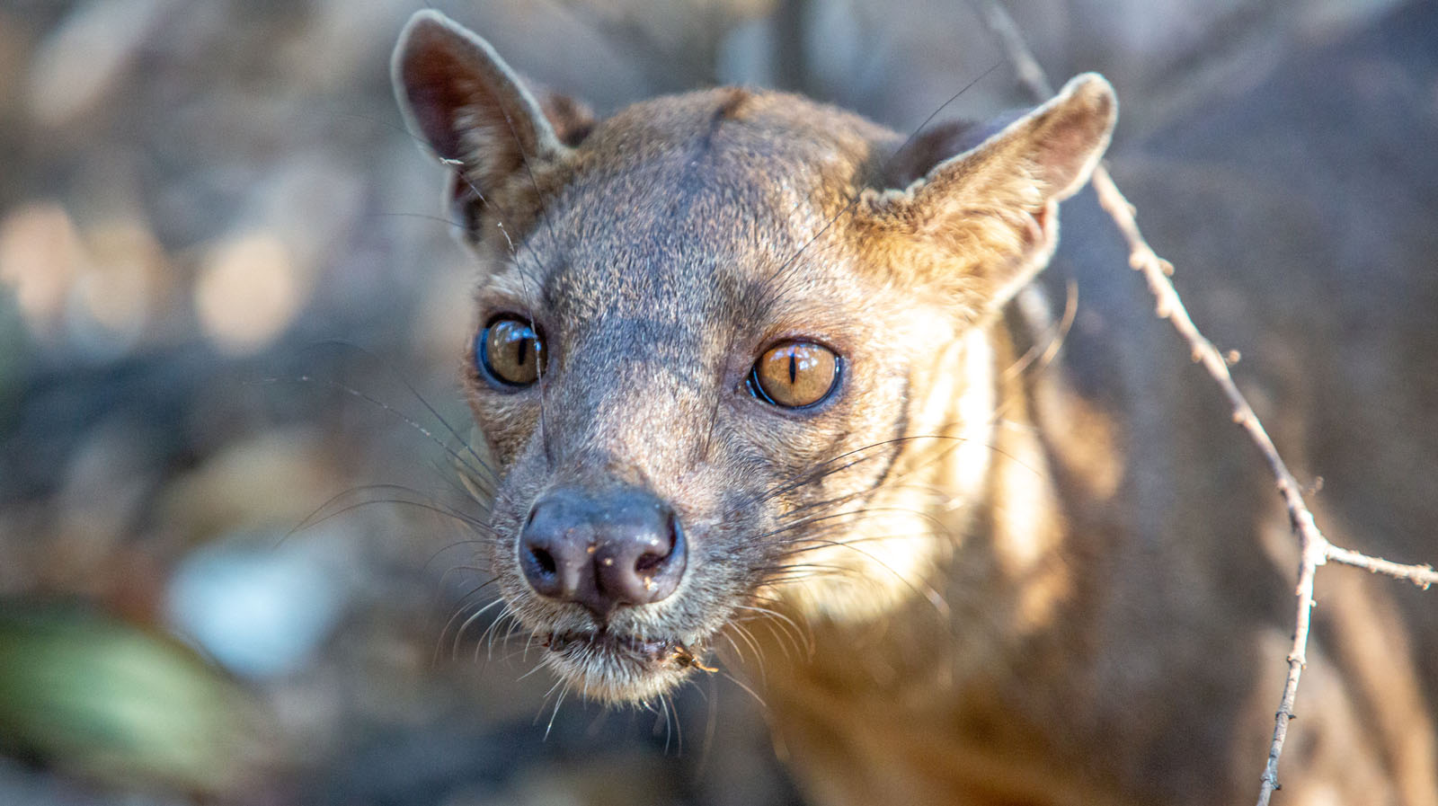 Masoala - Madagaskar Travel